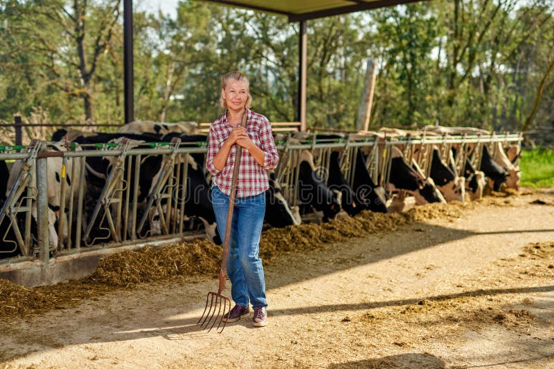 Farmer Woman is Working on Farm with Dairy Cows Stock Image - Image of ...