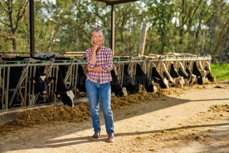 Farmer Woman is Working on Farm with Dairy Cows Stock Photo - Image of ...