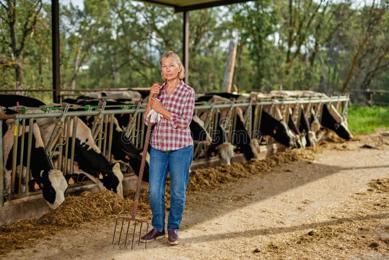 Farmer Woman is Working on Farm with Dairy Cows Stock Image - Image of ...