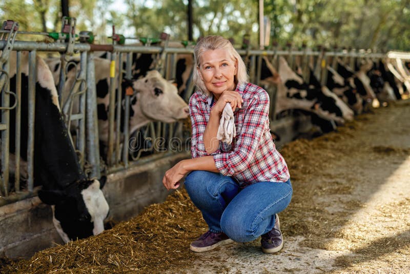 Farmer Woman is Working on Farm with Dairy Cows Stock Image - Image of ...