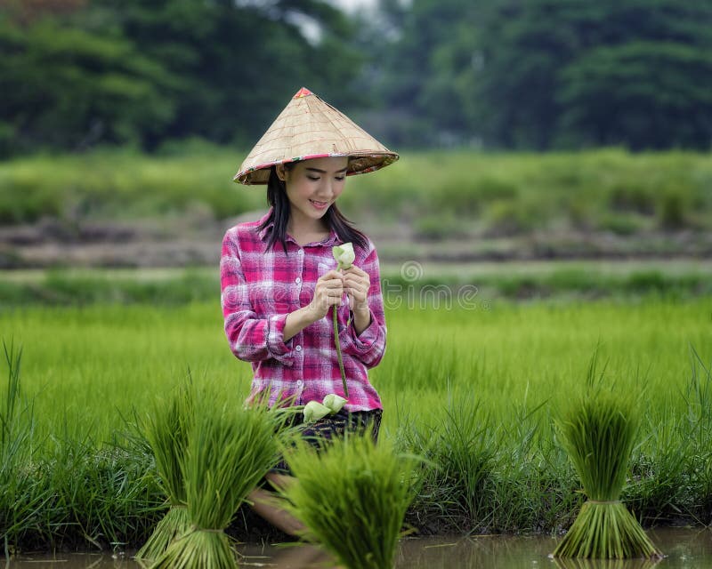 Farmer stock image. Image of happy, food, agronomy, farmer - 74420409