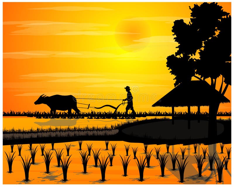 Farmer work in paddy field stock vector. Illustration of paddy - 128663870