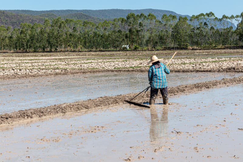 Using a Rake To Level Asphalt Pavement Stock Photo - Image of bitumen ...