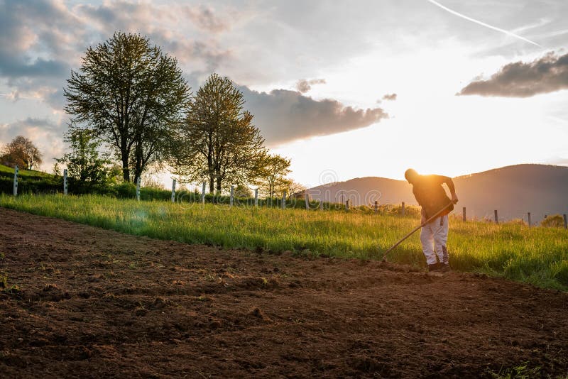 Farmer Working on an Agricultural Fields in Spring. Stock Photo - Image ...