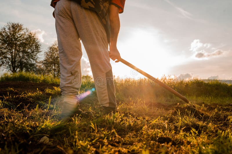 Farmer Working on an Agricultural Fields in Spring. Stock Photo - Image ...