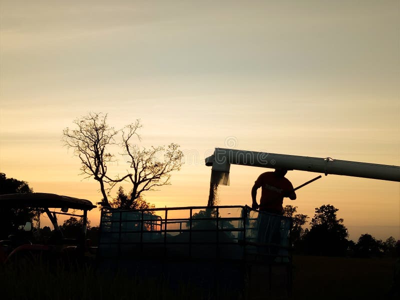 Farmer Working in Evening ,shadow Image Stock Photo - Image of clothing ...