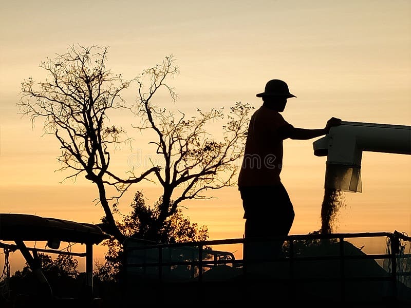 3,178 Farmer Shadow Stock Photos - Free & Royalty-Free Stock Photos ...