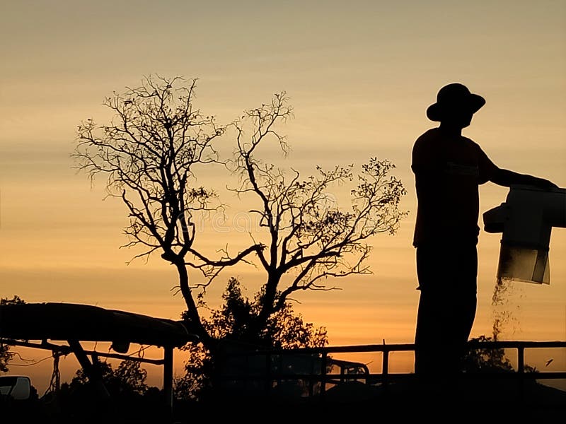 2,351 Farmer Shadow Photos - Free & Royalty-Free Stock Photos from ...