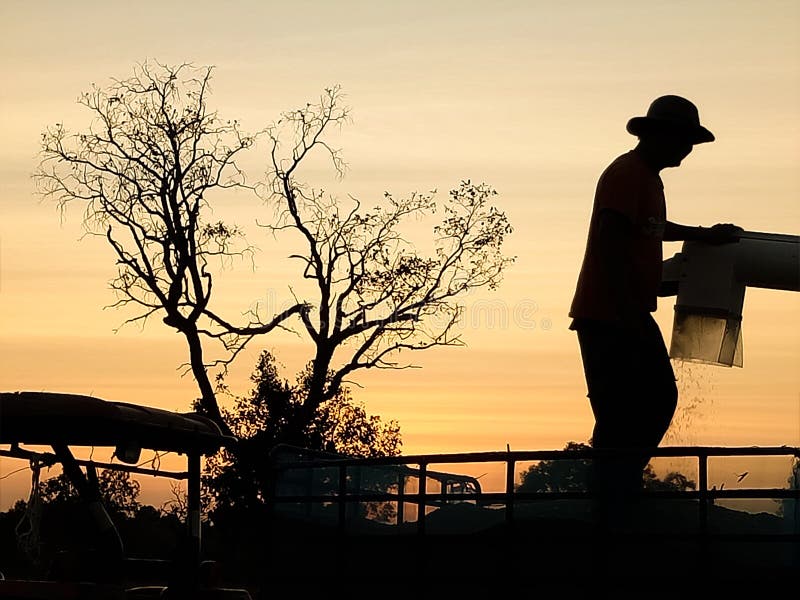 2,351 Farmer Shadow Photos - Free & Royalty-Free Stock Photos from ...