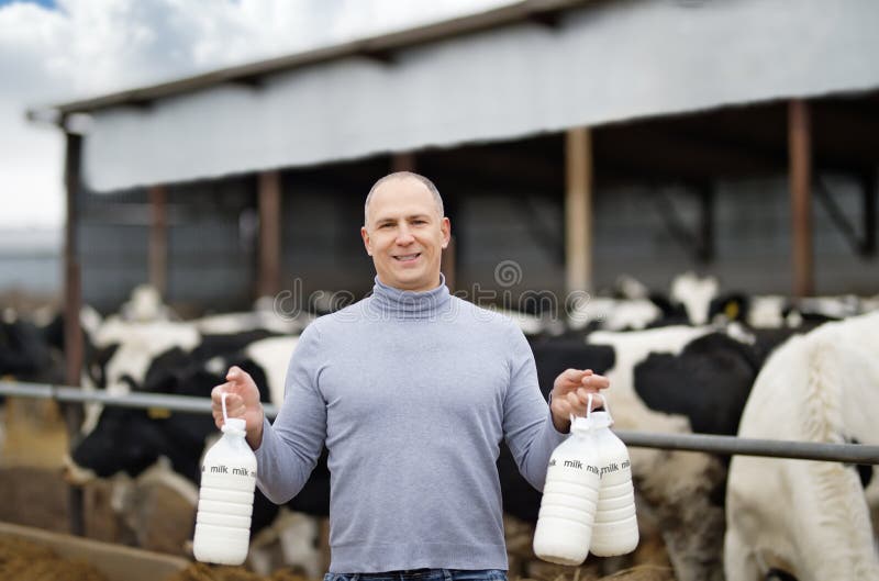 Farmer Working on Farm with Dairy Cows Stock Image - Image of food ...