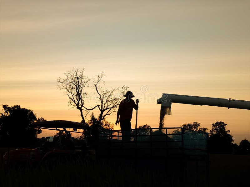 2,351 Farmer Shadow Photos - Free & Royalty-Free Stock Photos from ...