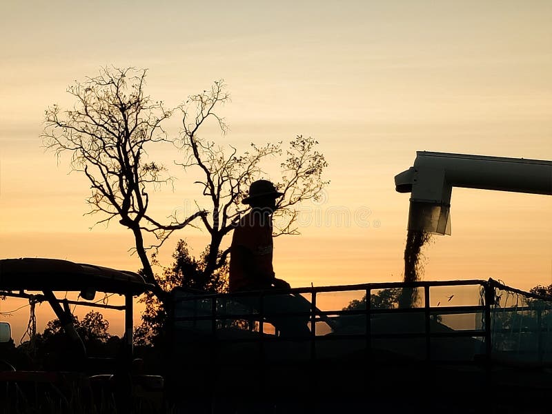 Farmer Working in Evening ,shadow Image Stock Photo - Image of clothing ...