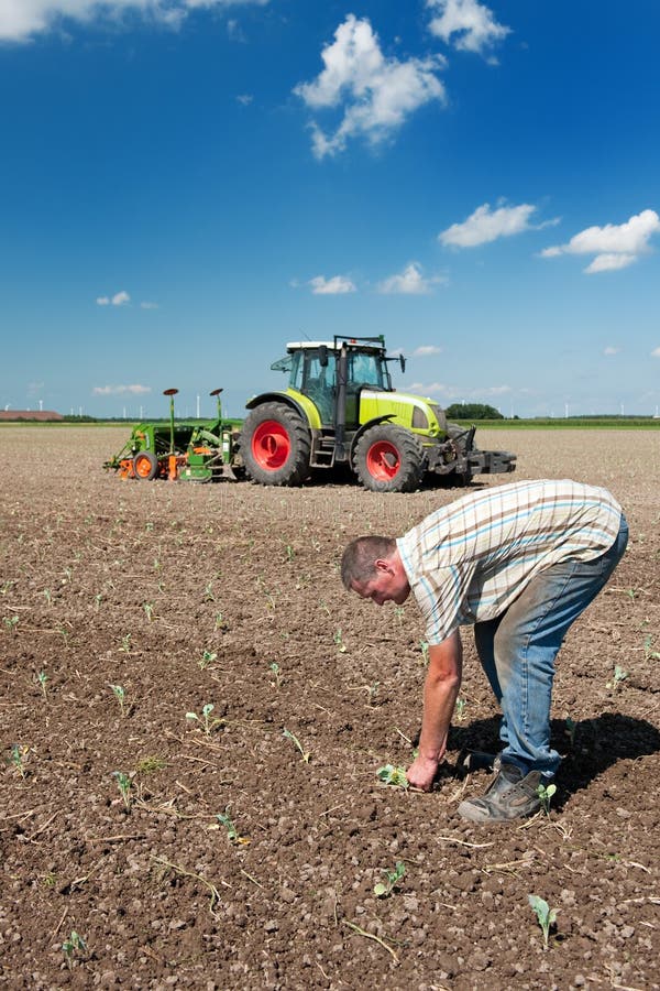 Farmer Working in the Fields Stock Image - Image of farmer, adult: 16557013