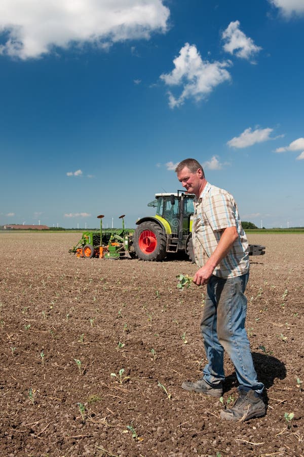 Farmer Working in the Fields Stock Photo - Image of transport, nature ...