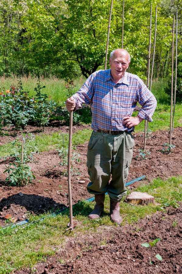 Farmer Working in the Garden Stock Image - Image of farming, plant ...