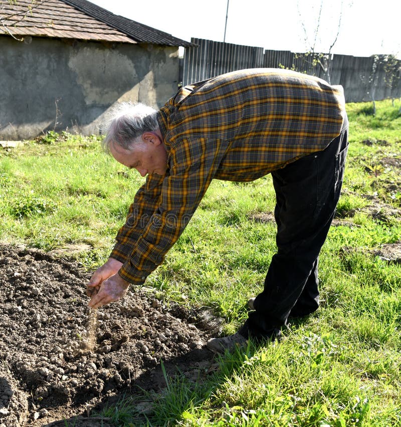 Farmer Working in the Garden Stock Image - Image of soil, agriculture ...