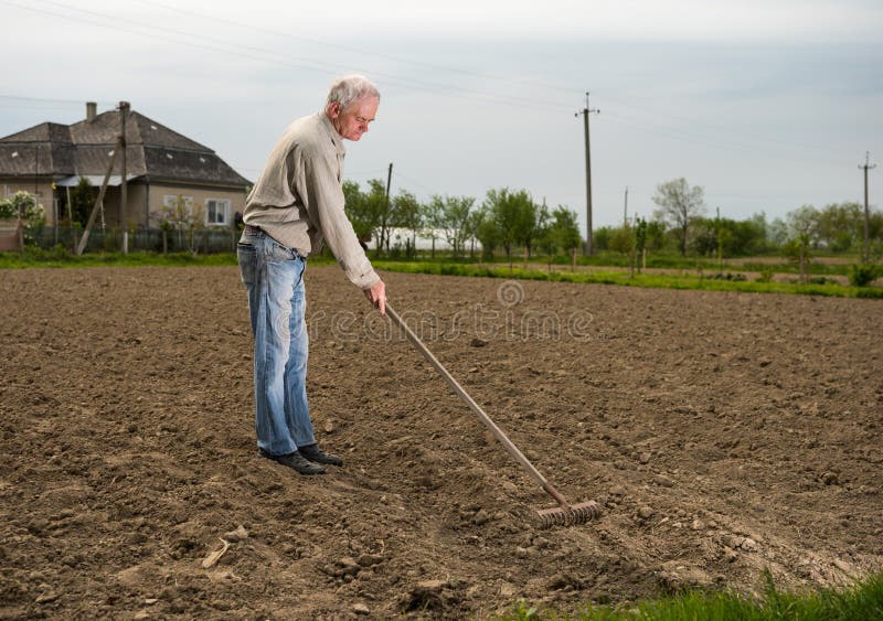 Farmer Working in the Garden Stock Image - Image of rural, spring: 70846639