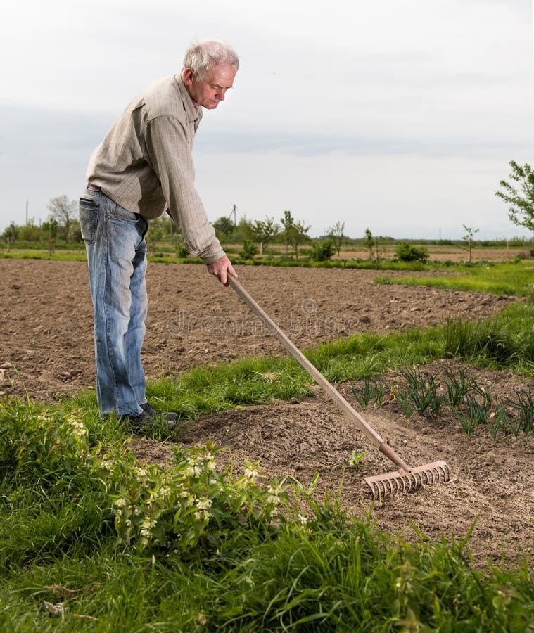 Farmer Working in the Garden Stock Image - Image of organic ...
