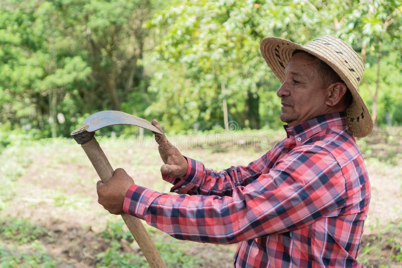 Farmer Working in the Orchard, Checking His Work Equipment Stock Image ...