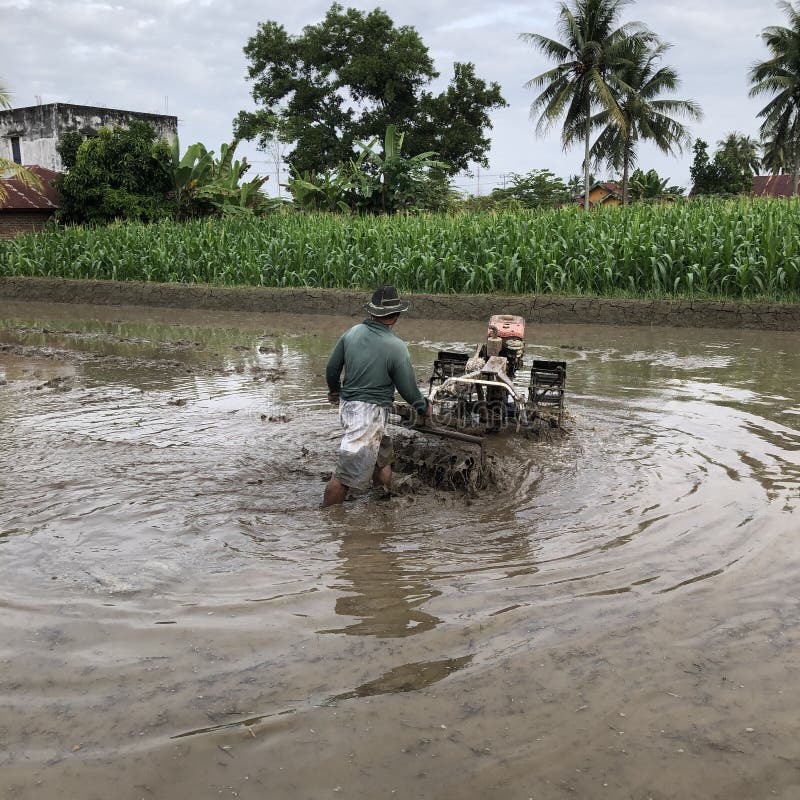 The Farmer is Working with Plowing Machine Editorial Stock Photo ...