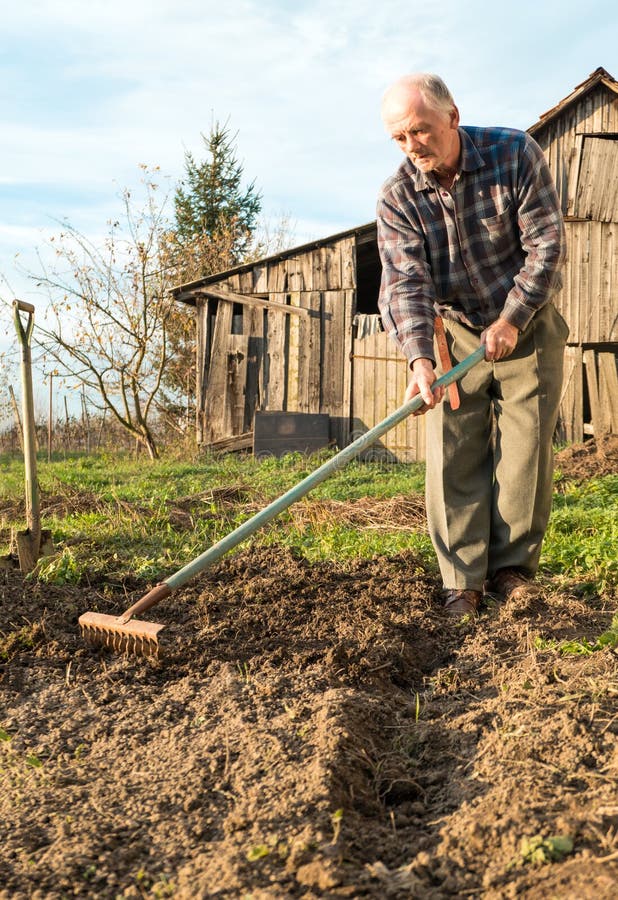 Farmer Working with a Rake in the Garden Stock Photo - Image of spring ...