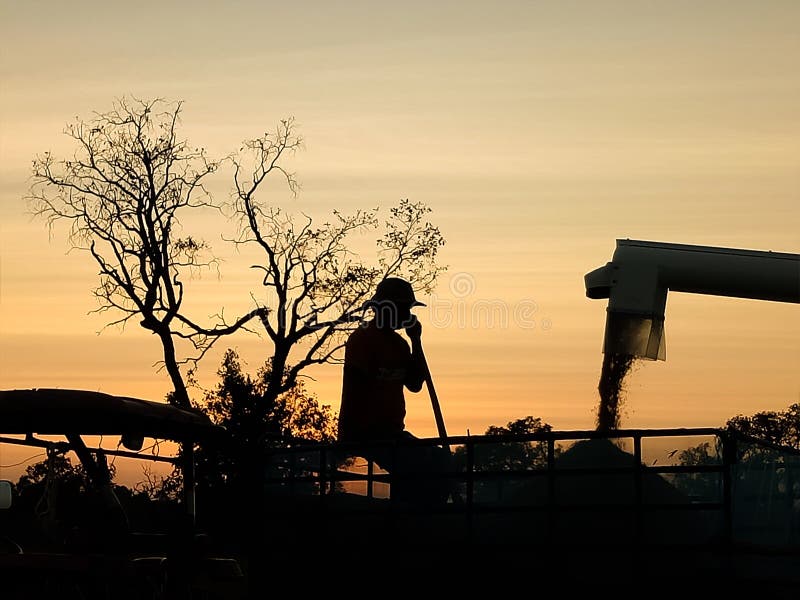 2,351 Farmer Shadow Photos - Free & Royalty-Free Stock Photos from ...