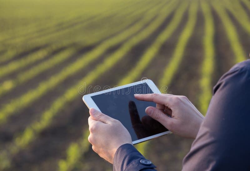 Farmer Working on Tablet in Field Stock Photo - Image of nature ...