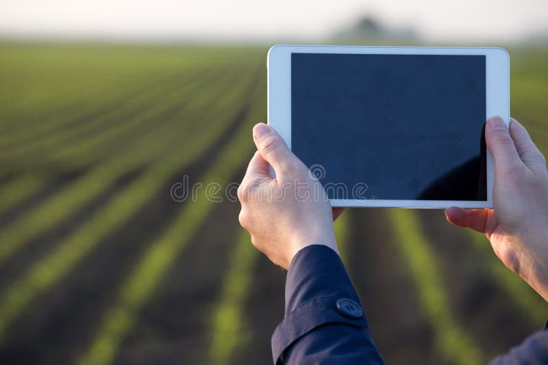 Farmer Working on Tablet in Field Stock Photo - Image of close, green ...