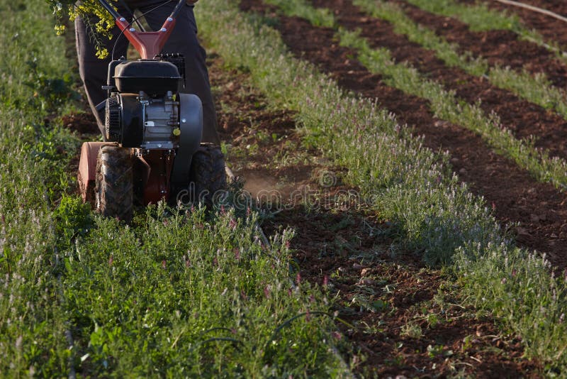 Farmer Works with a Digging Machine Stock Photo - Image of cultivate ...