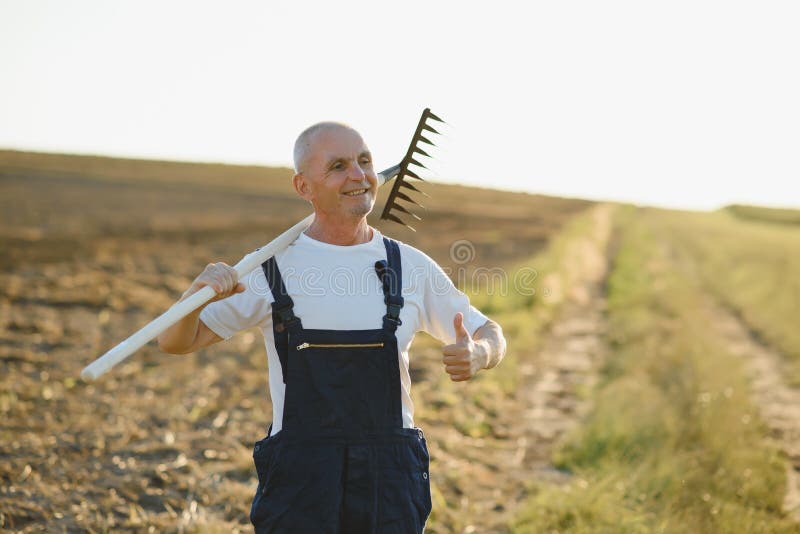 A farmer works with a rake stock image. Image of business - 206698135