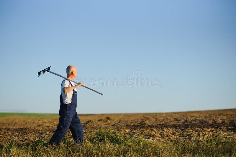 A farmer works with a rake stock image. Image of work - 206698195