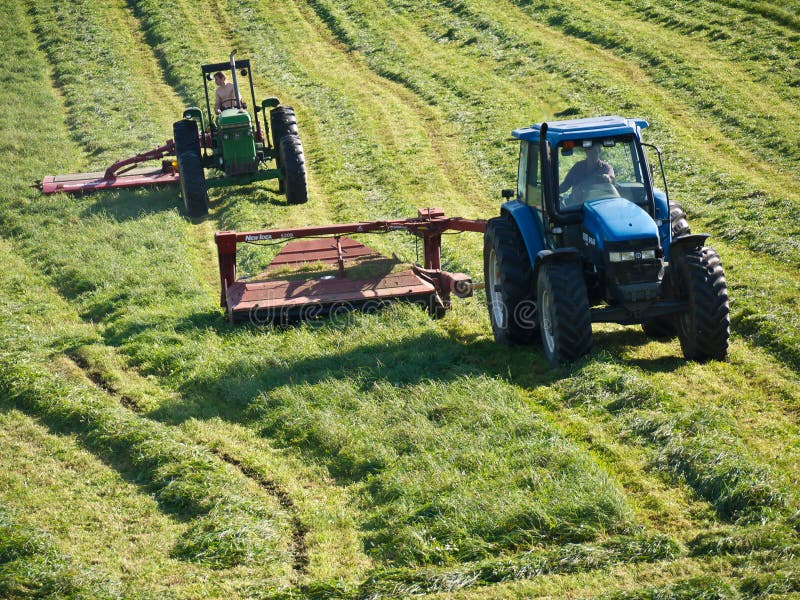 Farmers Cutting Hay with Tractors Editorial Stock Image - Image of ...