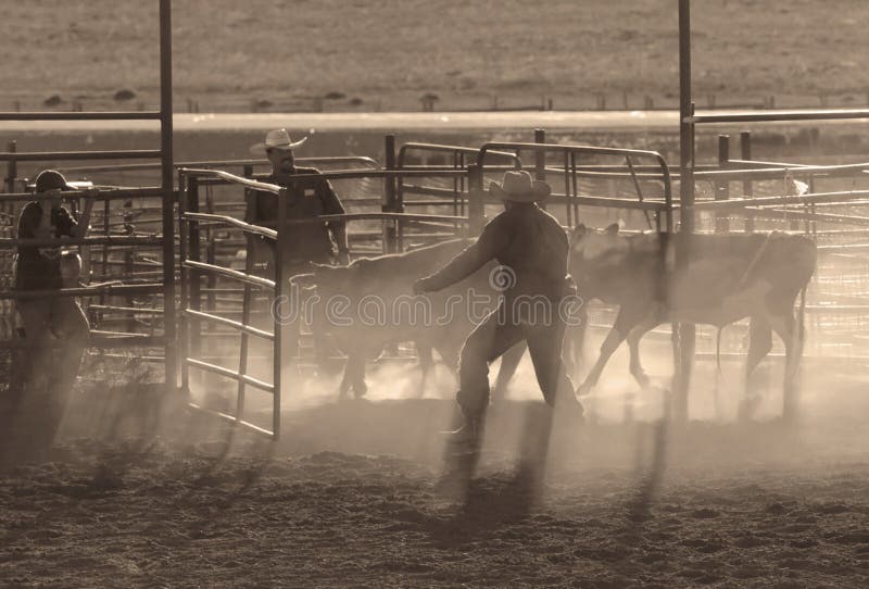 199 Farmers Their Farm Animals Stock Photos - Free & Royalty-Free Stock ...