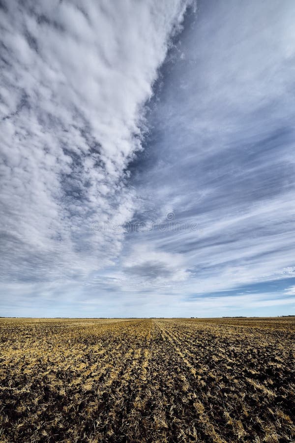 Farmers Field stock image. Image of fall, autumn, saskatchewan - 88435651