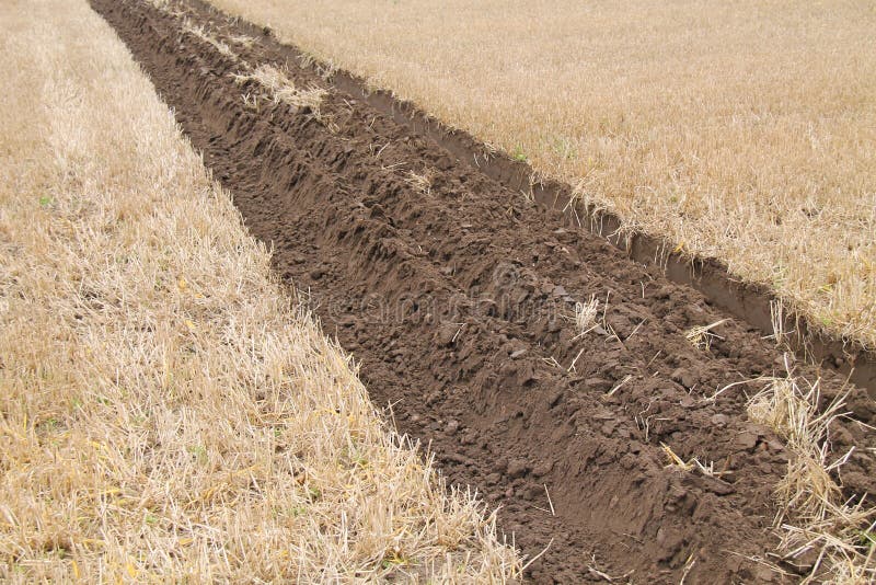 Ploughed Furrow in a Field. Stock Image - Image of crop, meadow: 27706915