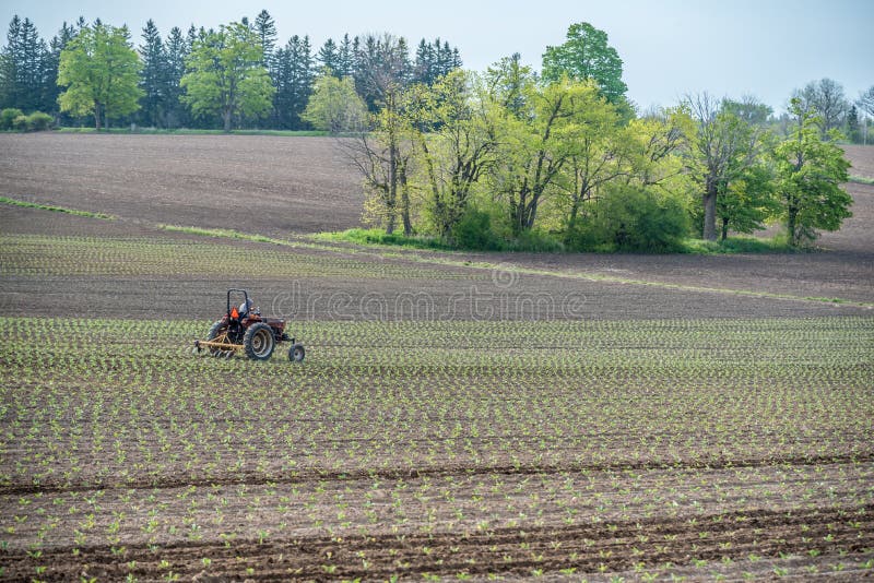 Farmers field stock photo. Image of land, growing, nature - 190800852