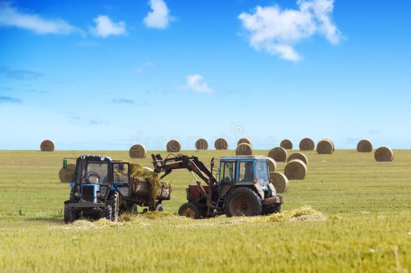 Farmers harvesting hay stock image. Image of landscape - 28109711
