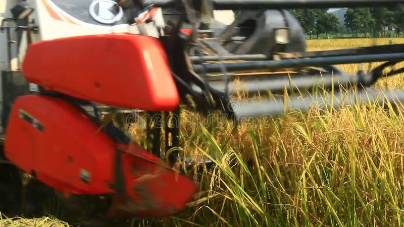 Farmers Harvesting Rice in the Fields by Machine Stock Video - Video of ...