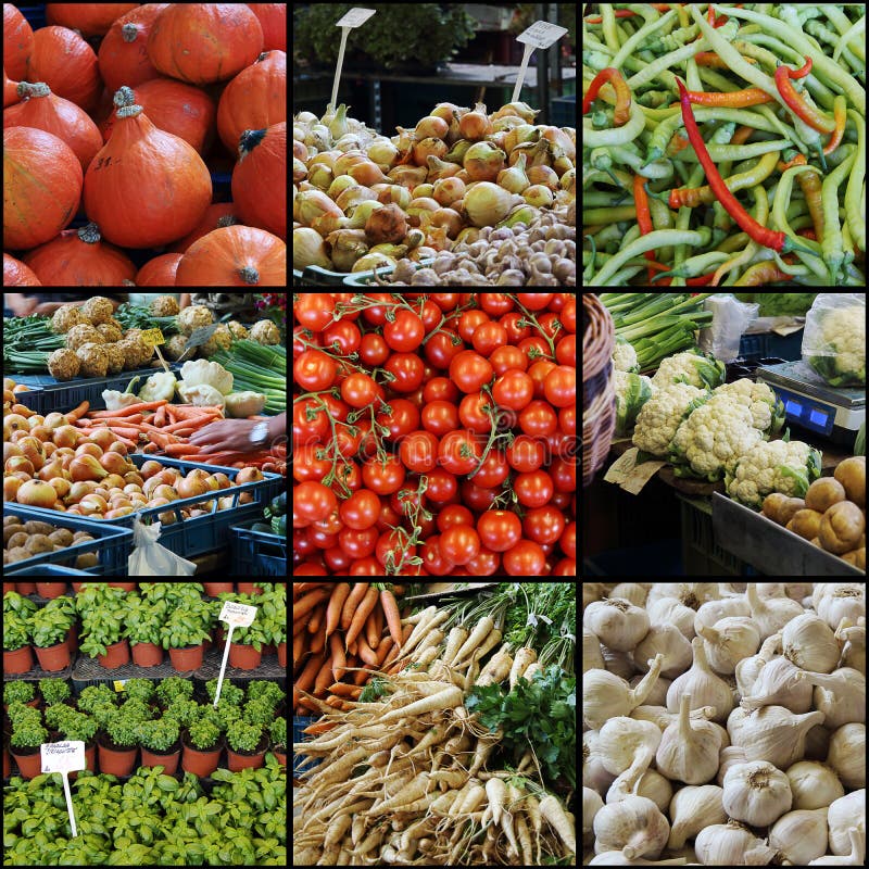 Farmers market collage stock image. Image of field, green - 32989805