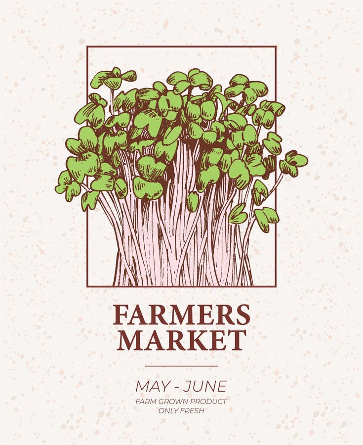 Farmers Market Microgreens Flyer Stock Vector - Illustration of vector ...