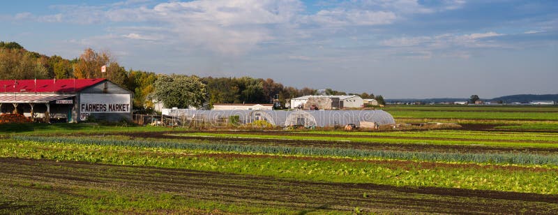 Farmers Market and Vegetable Fields Stock Image - Image of farmers ...
