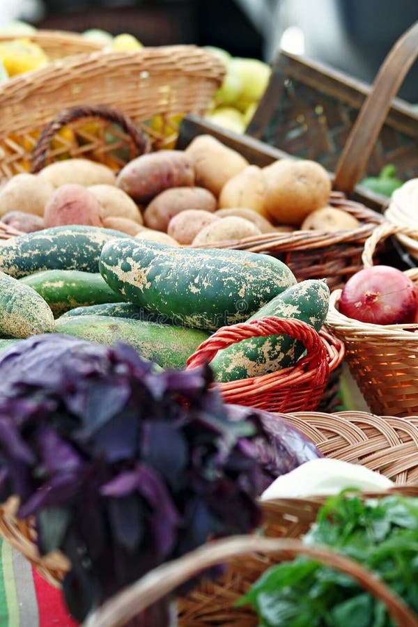 Vegetables and Flowers stock photo. Image of picked, fresh - 1602560