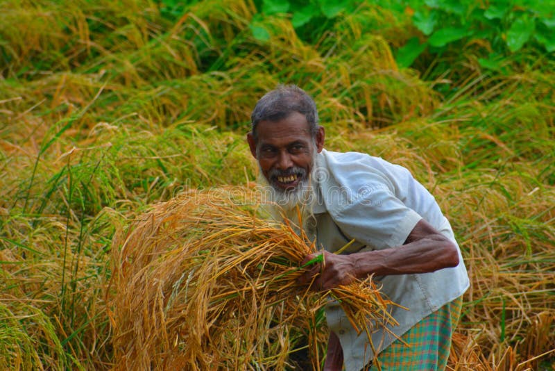 Peasant life editorial photo. Image of work, farmers - 119702686