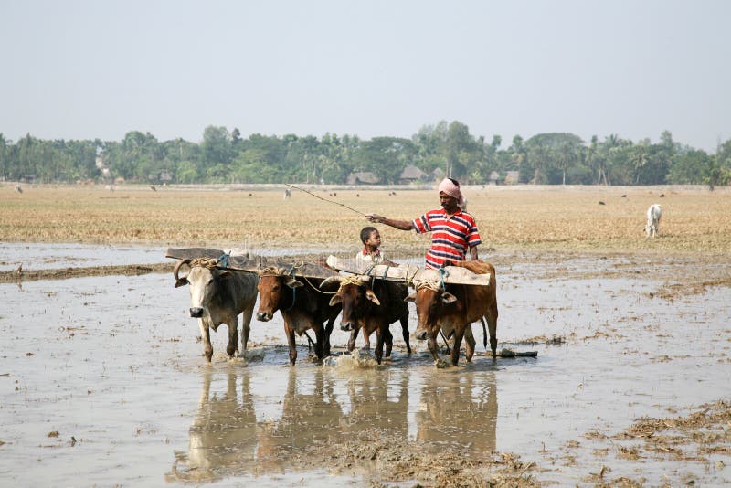 Farmers Plowing Agricultural Field Editorial Photography - Image of ...