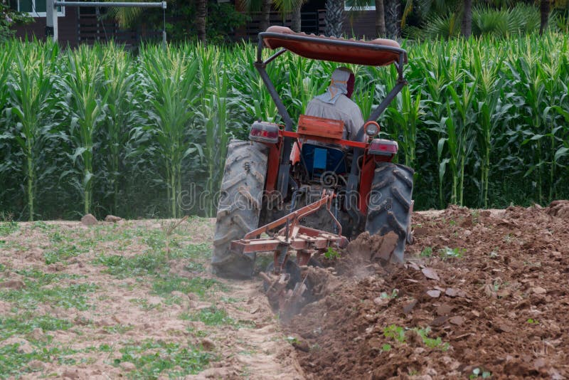Farmers are Plowing Corn Fields Stock Photo - Image of tired, plow ...