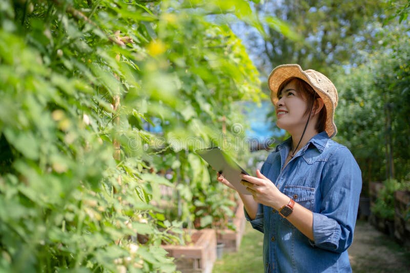 Farmers are Recording Data on Tablets at Farm Stock Image - Image of ...