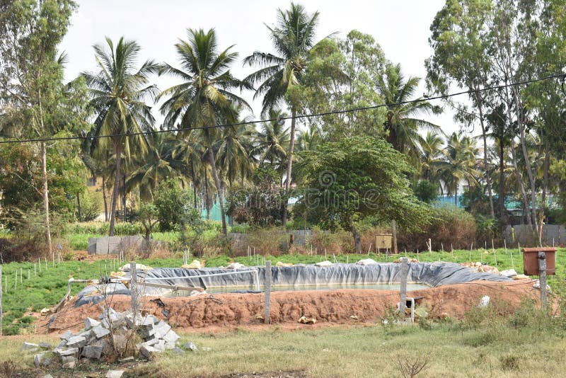 Farmers Saving Their Water Source Stock Image - Image of source ...