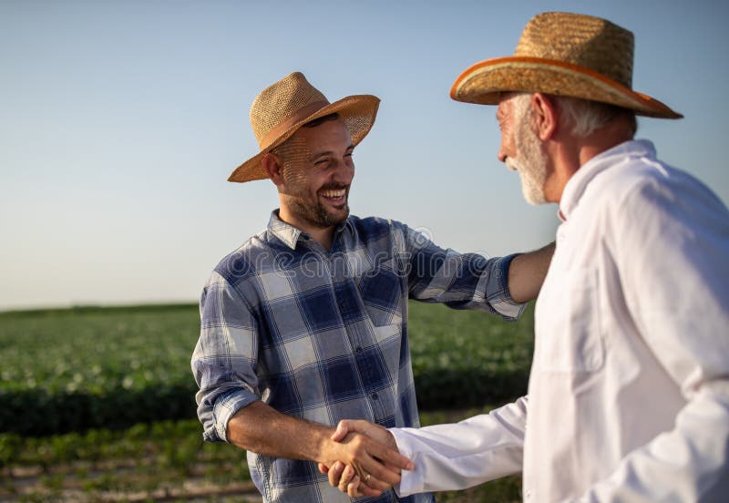 Farmers Shaking Hands in Field Stock Photo - Image of shaking ...