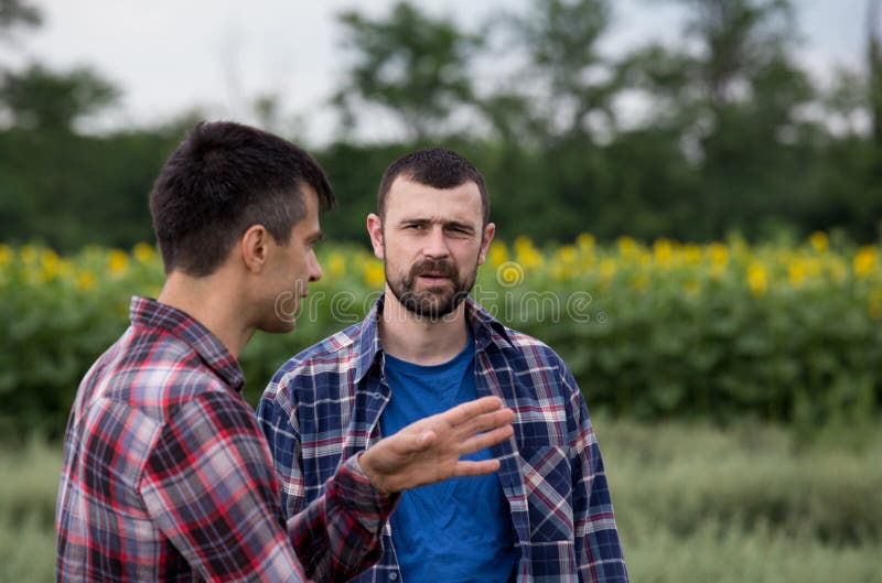 Farmers talking in field stock photo. Image of rural - 120177054