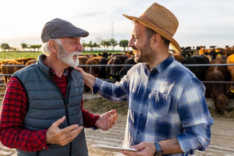 Farmers Talking in Front of Bovine on Ranch Stock Image - Image of ...